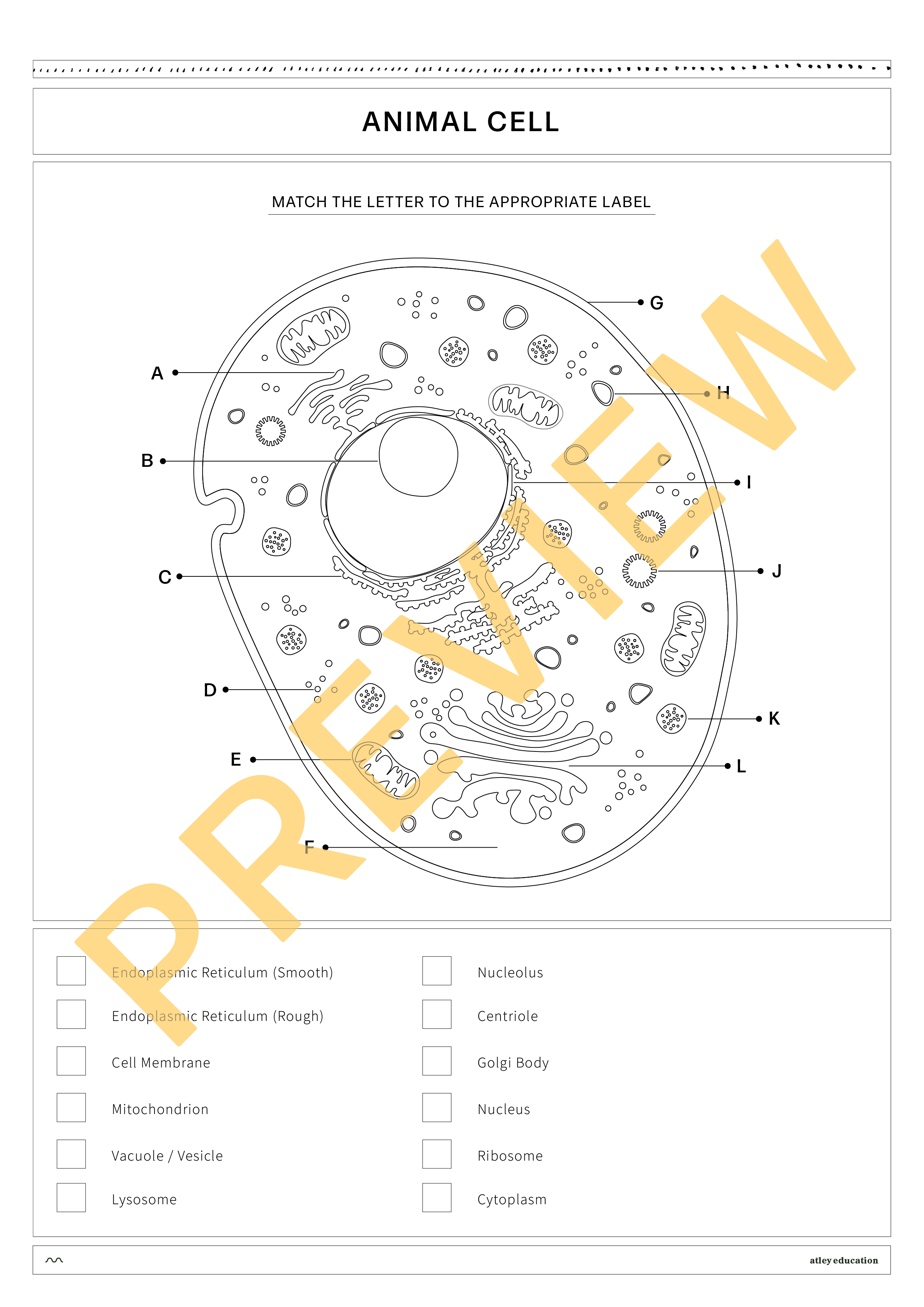 Animal Cell Diagram & Worksheets – Atley Media