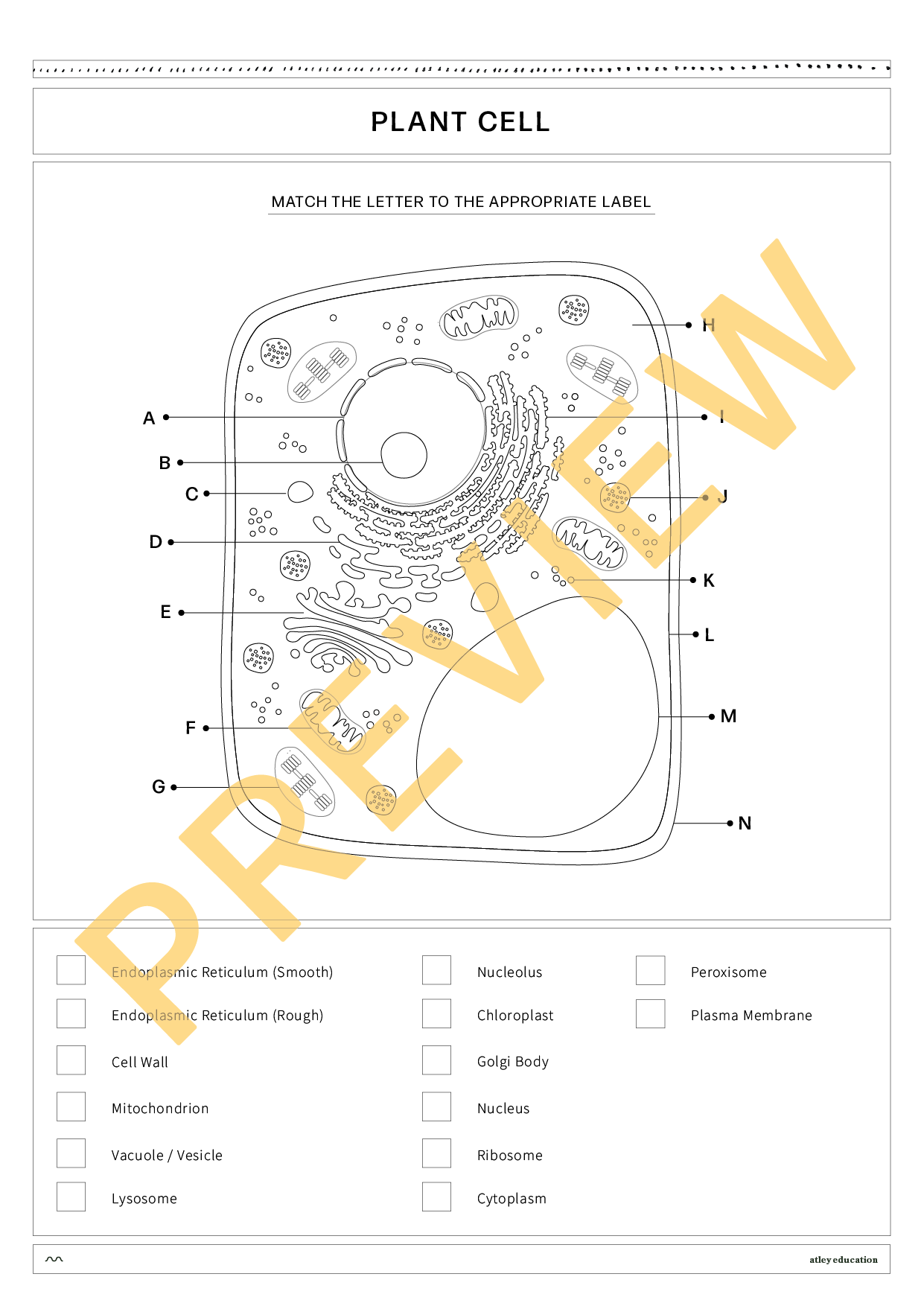 Plant Cell Diagram & Worksheets – Atley Media