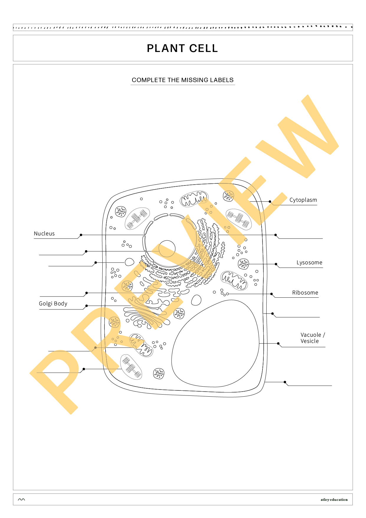 Plant Cell Diagram & Worksheets – Atley Media