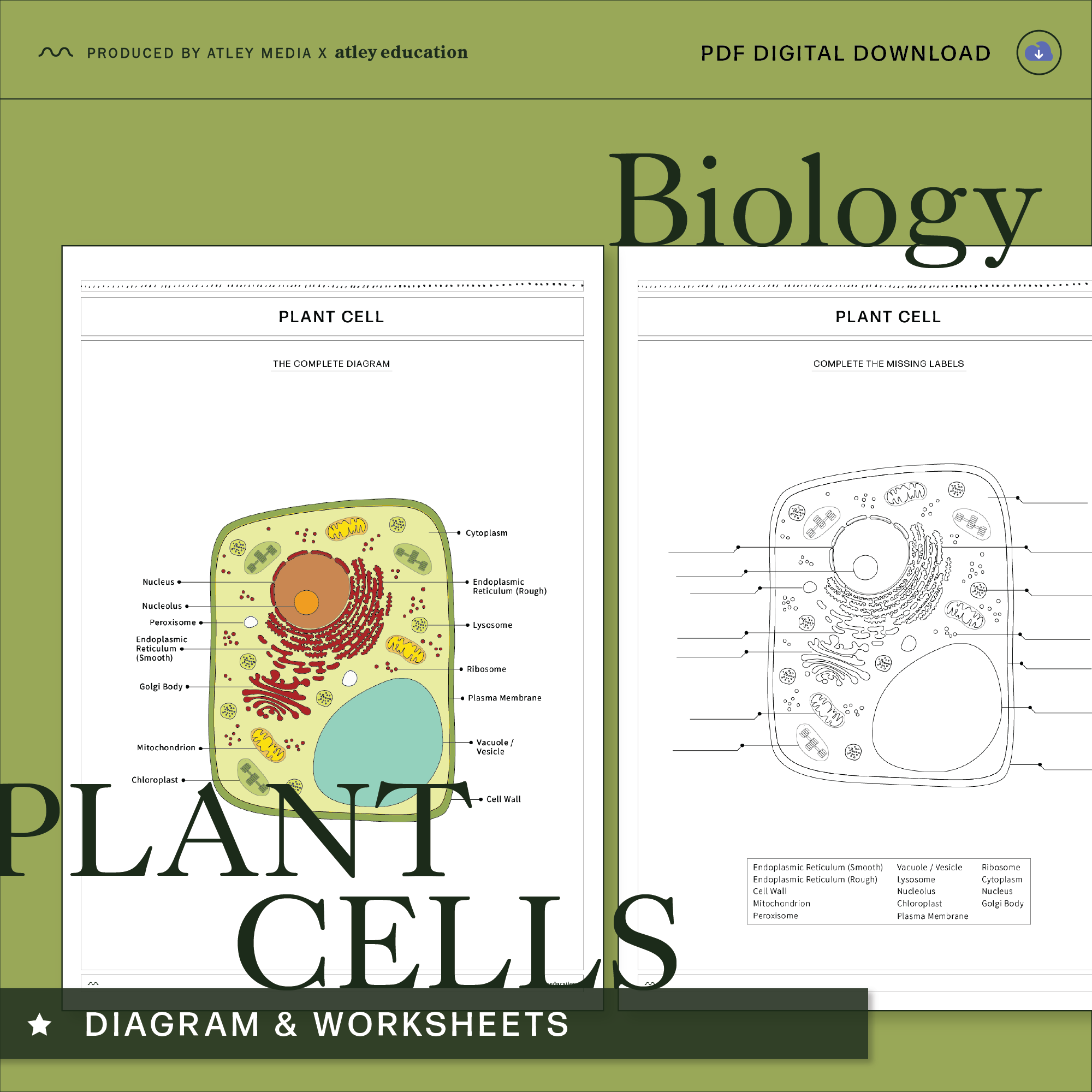 Plant Cell Diagram & Worksheets – Atley Media